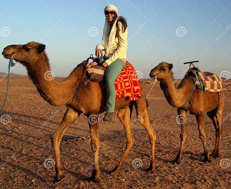 Ride on camel stock photo. Image of smiling, adventure - 24814274