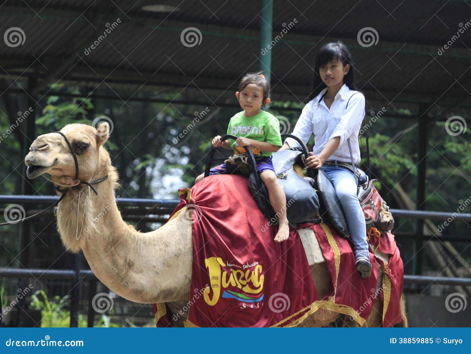 Ride camel editorial image. Image of recreation, central - 38859885