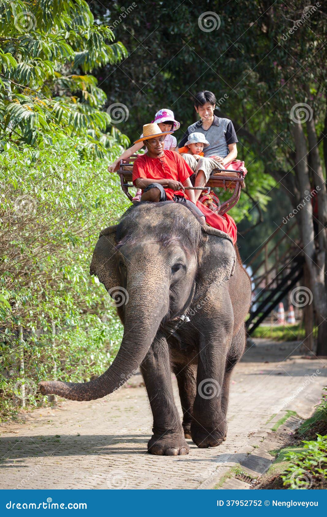 Ride on an elephant editorial photography. Image of adventure - 37952752