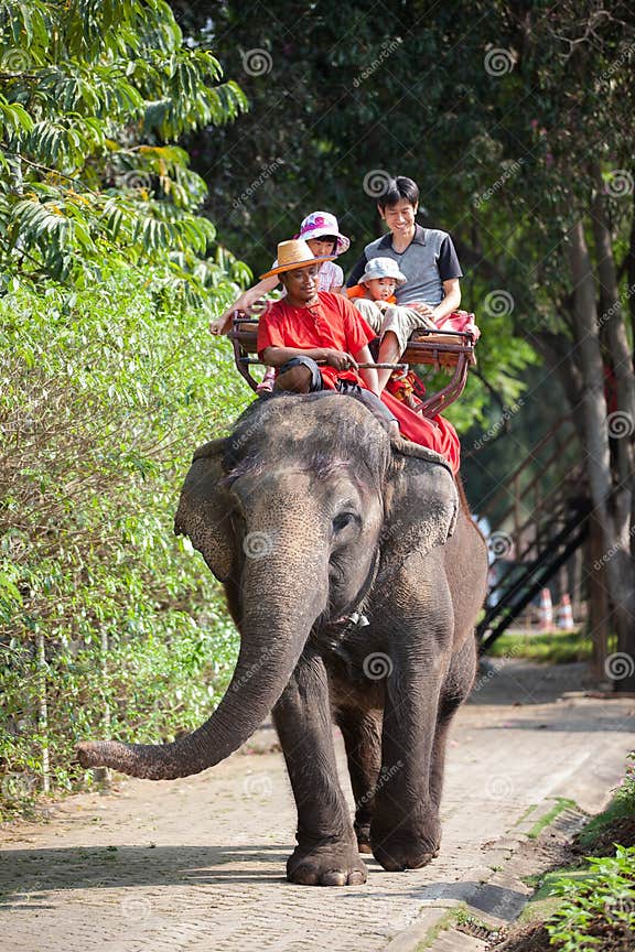 Ride on an elephant editorial photography. Image of adventure - 37952752