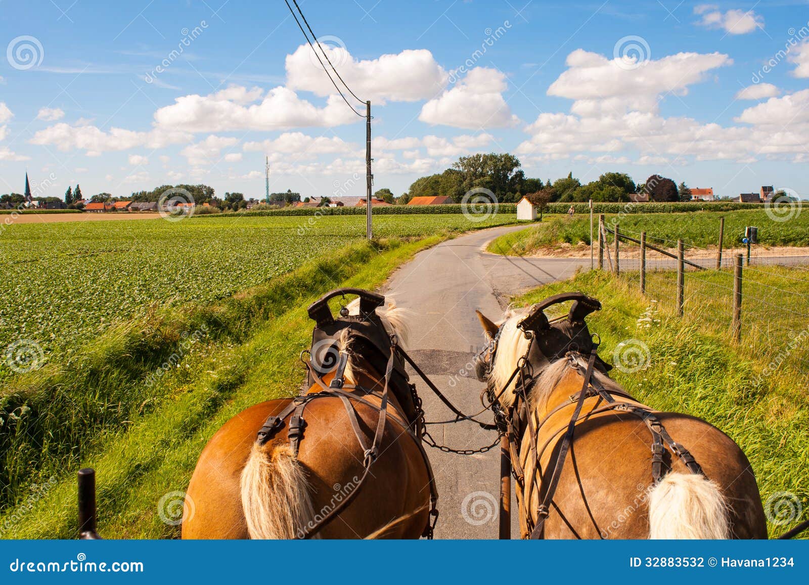 Ride through the Flemish Fields with Horse and Covered Wagon. Stock ...