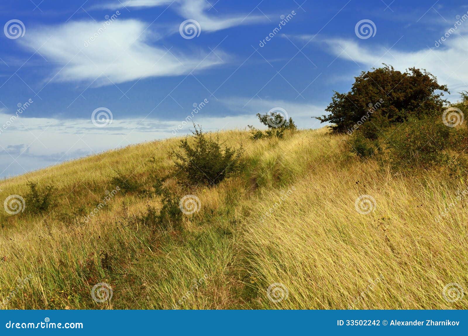 Ride in heath stock photo. Image of cloud, green, travel - 33502242