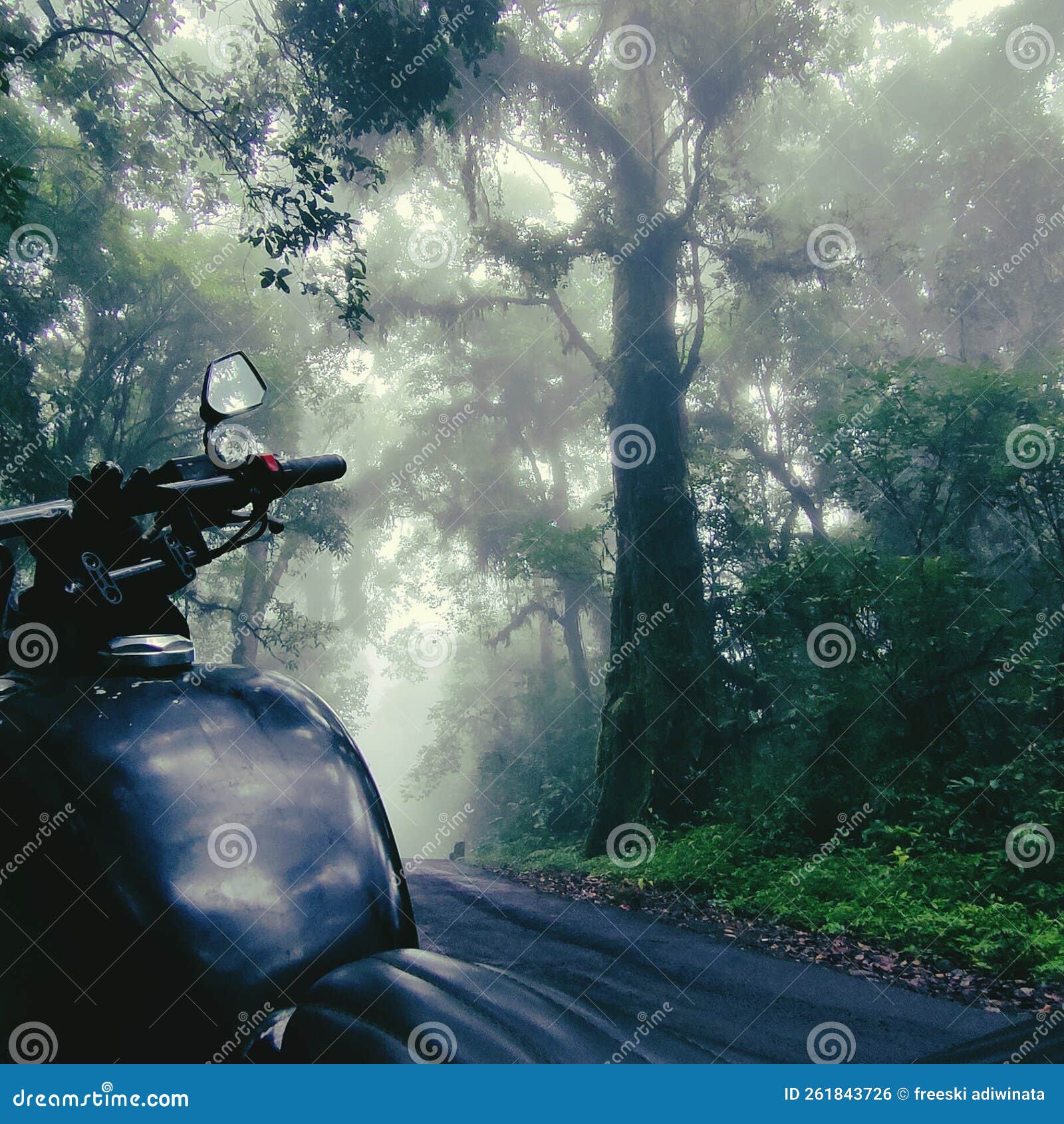 Ride a Motorbike in the Middle of the Ranu Pane Forest Stock Photo ...
