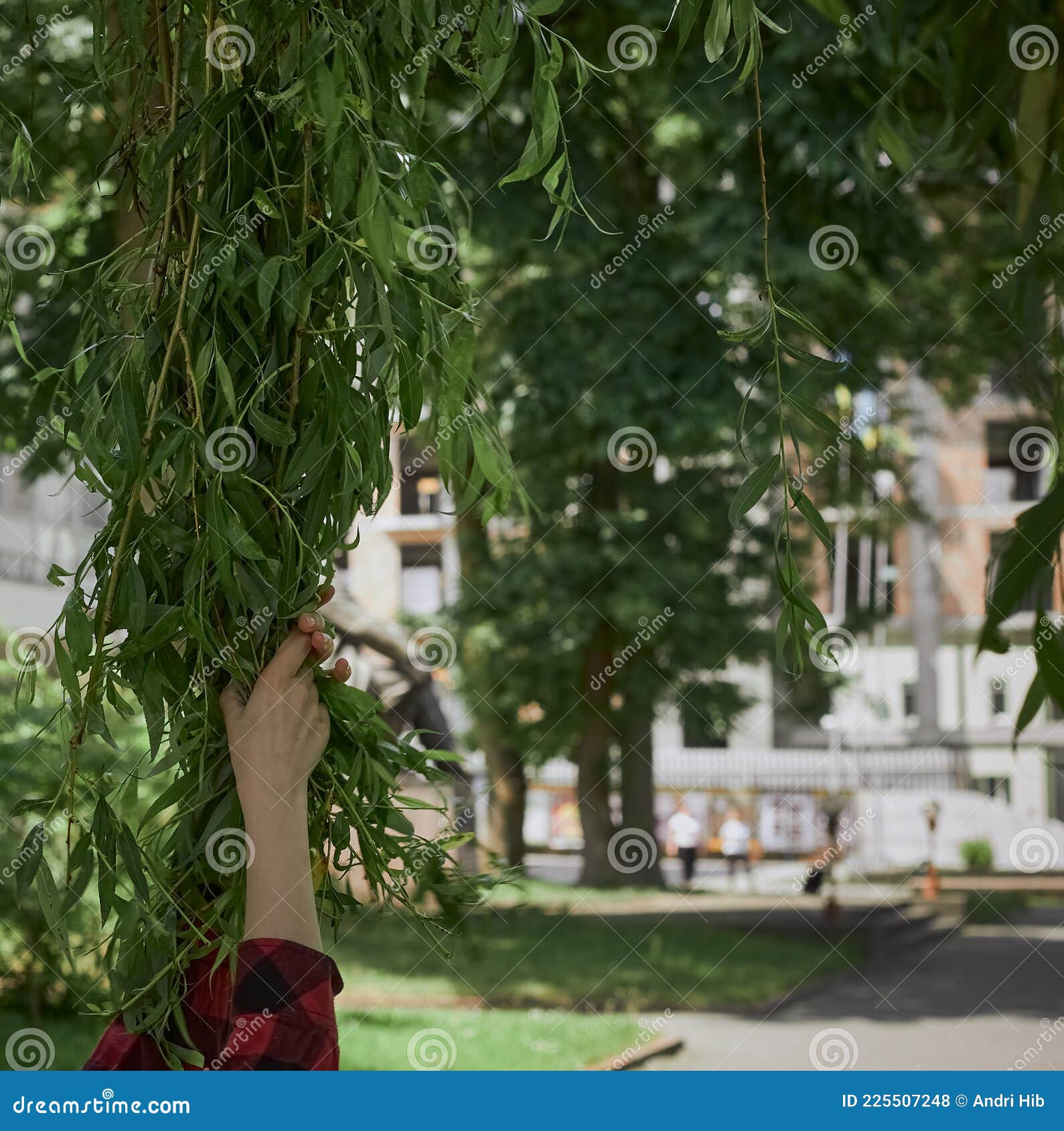 Ride on a Tree Branch. Hold on and Hang on a Tree Branch. Stock Photo ...