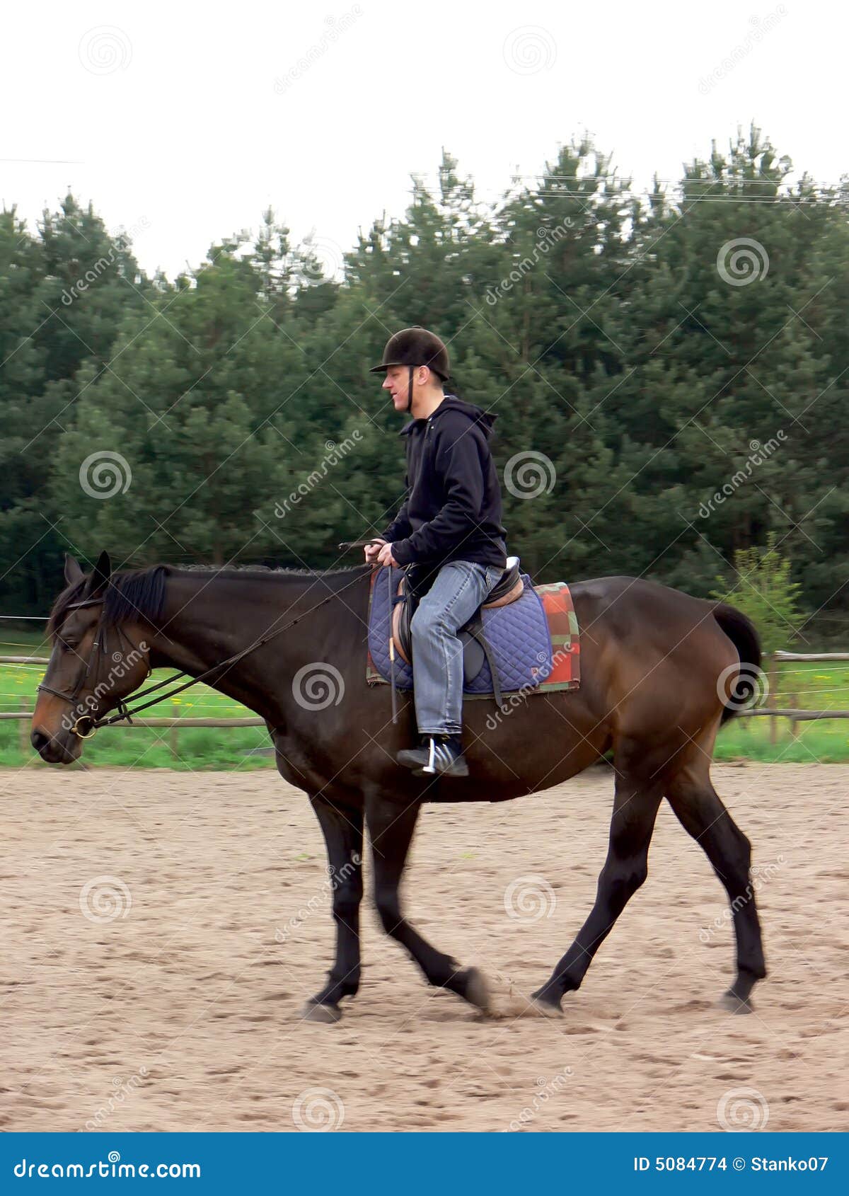 Rider stock photo. Image of farm, mammal, sits, rides - 5084774