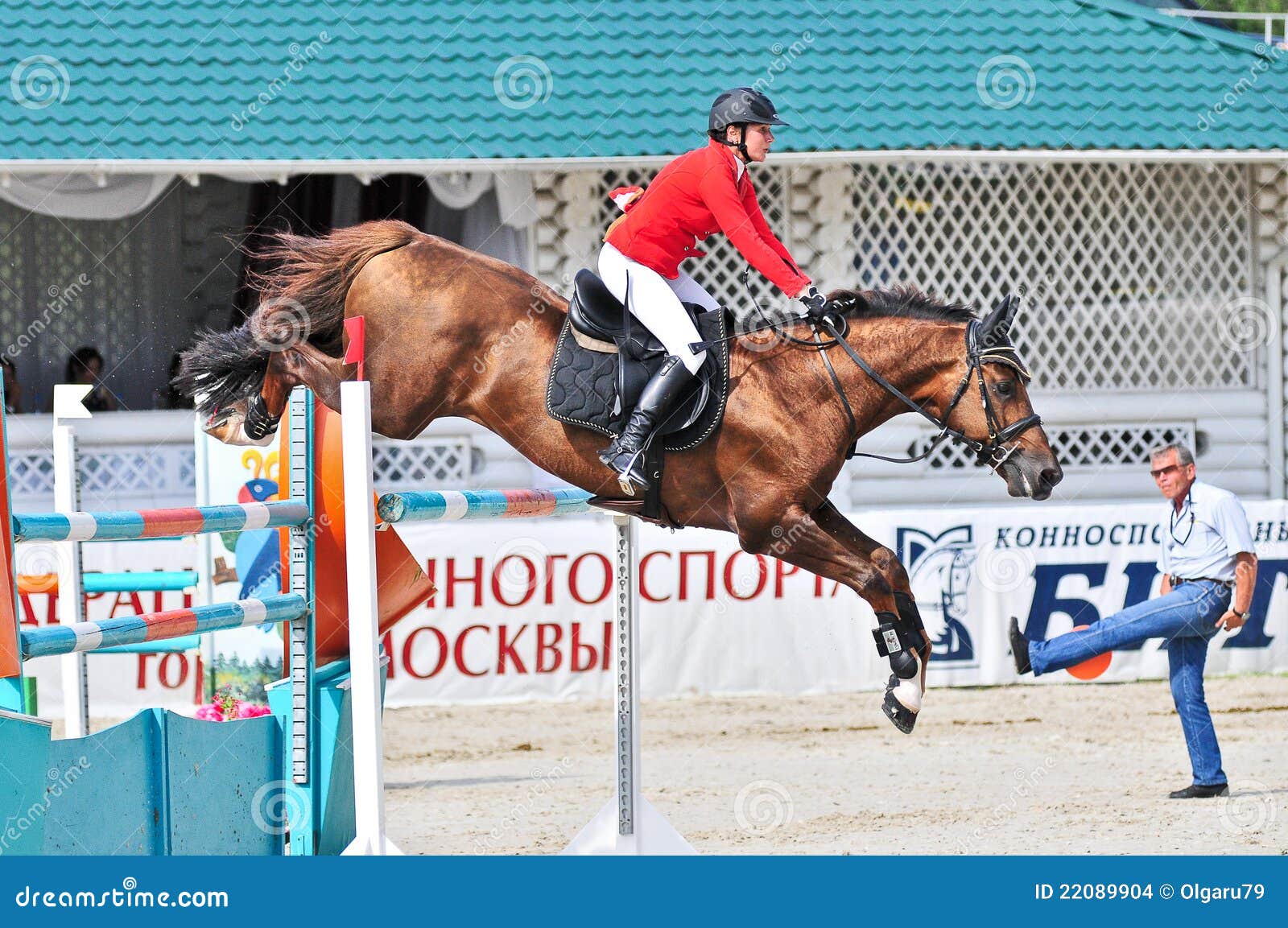 Rider on bay jump horse editorial stock image. Image of outdoor - 22089904