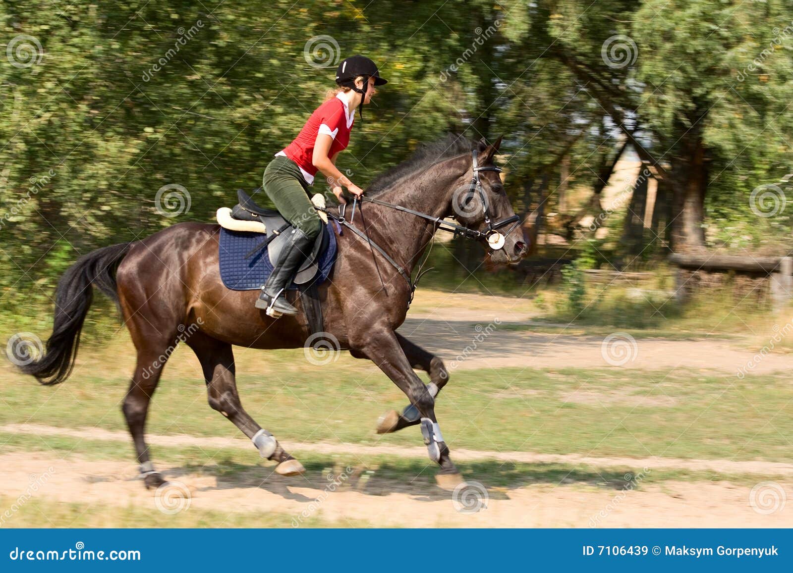 Rider girl stock image. Image of tantivy, practicing, horseback - 7106439