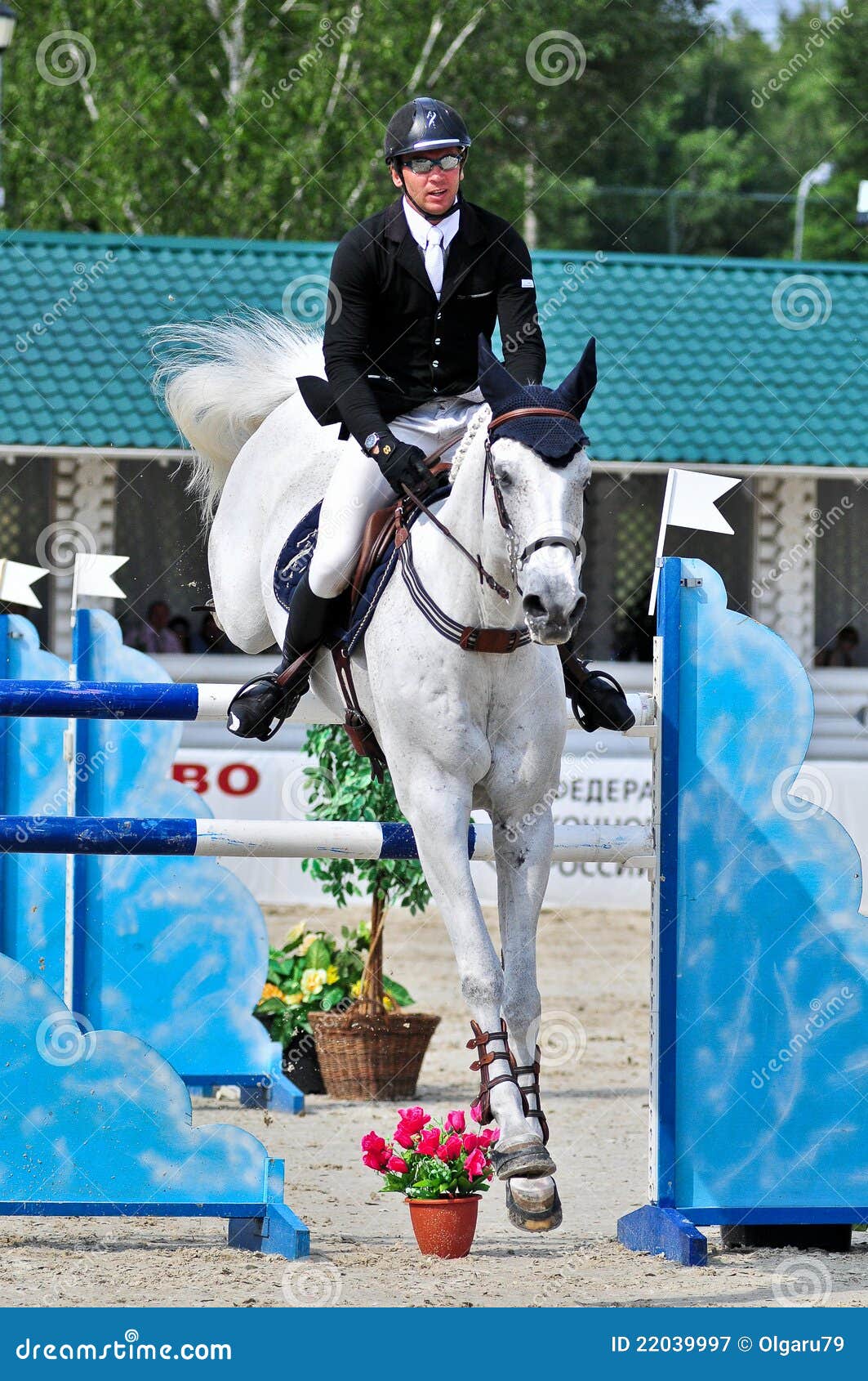 Rider on Gray Show Jump Horse Editorial Photography - Image of chestnut ...