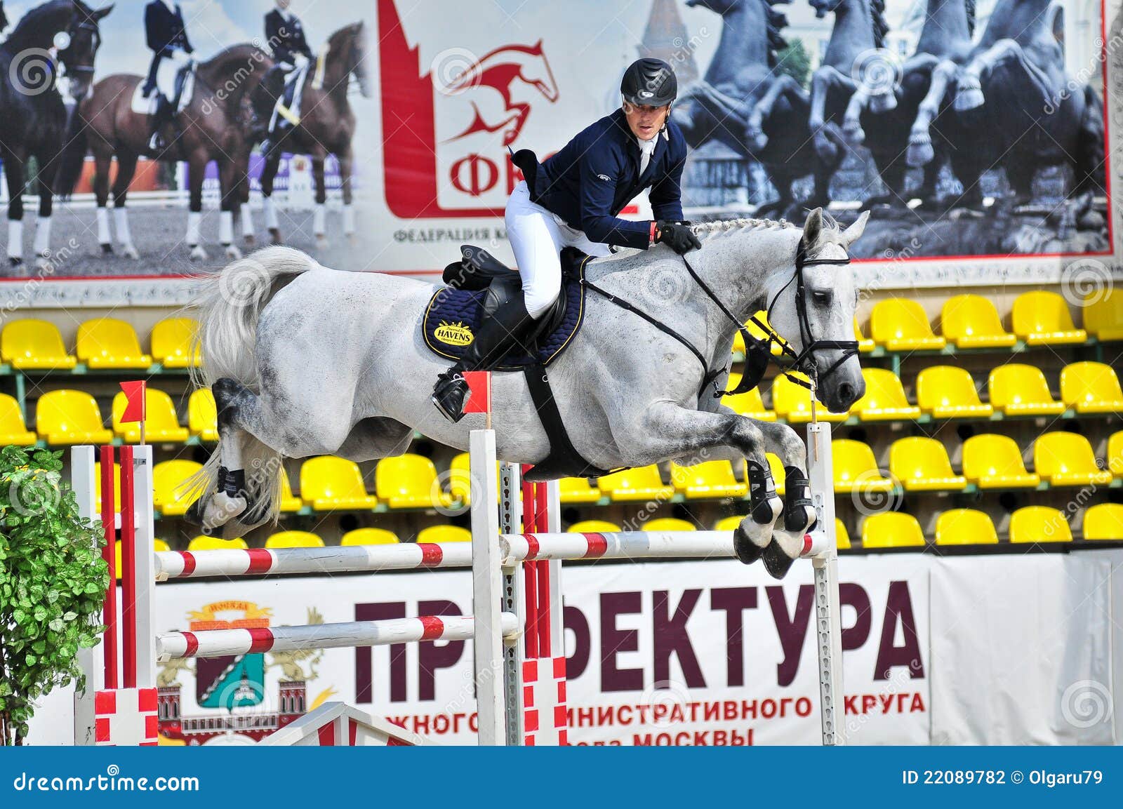 Rider on Gray Show Jump Horse Editorial Photography - Image of portrait ...