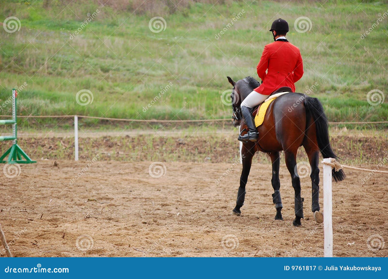 Rider on a Posh Chestnut Horse Stock Image - Image of animal, dressage ...