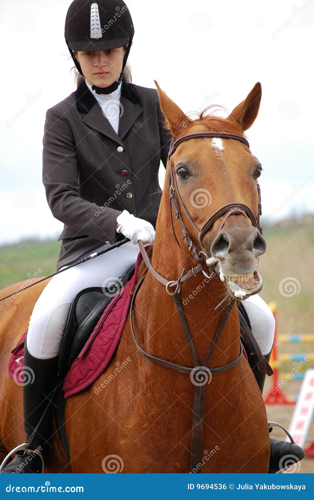 Rider on a Posh Ginger Horse Stock Photo - Image of black, mammals: 9694536