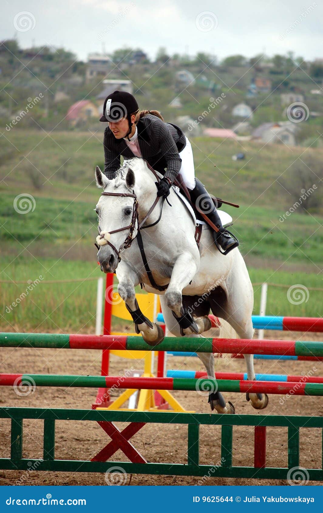 Rider on a Posh White Horse Stock Photo - Image of equestrian, forward ...