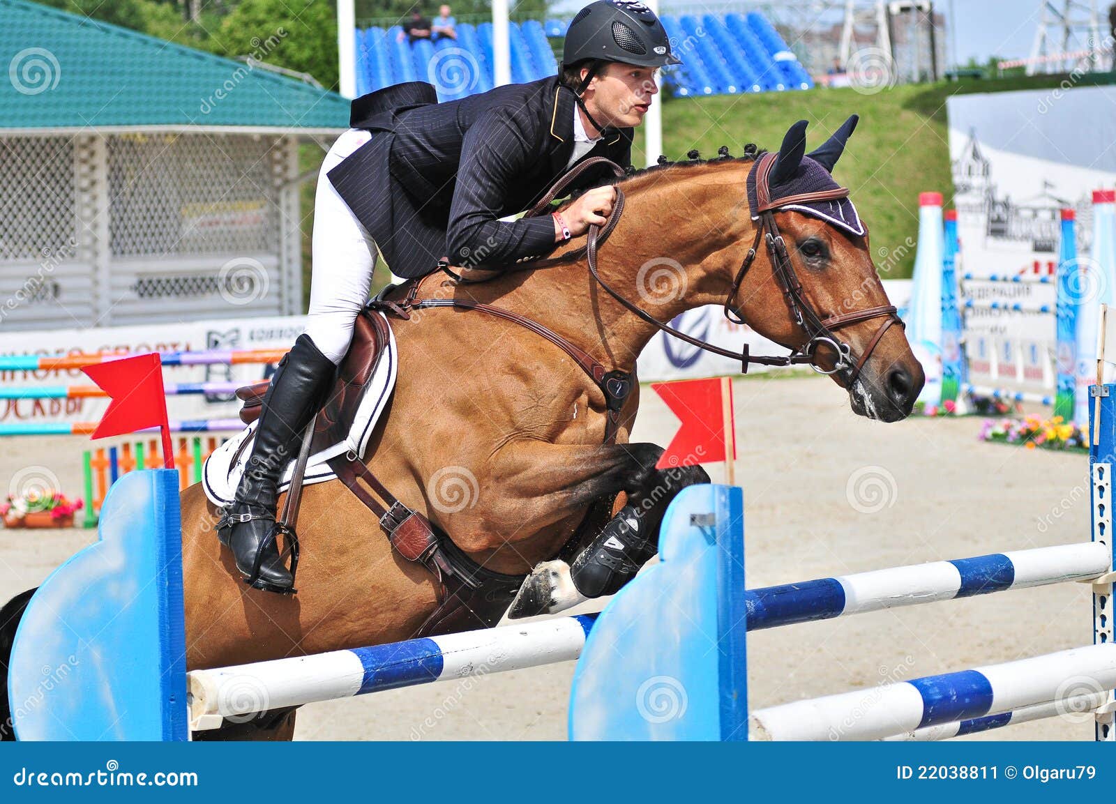 Rider on show jump horse editorial photo. Image of show - 22038811
