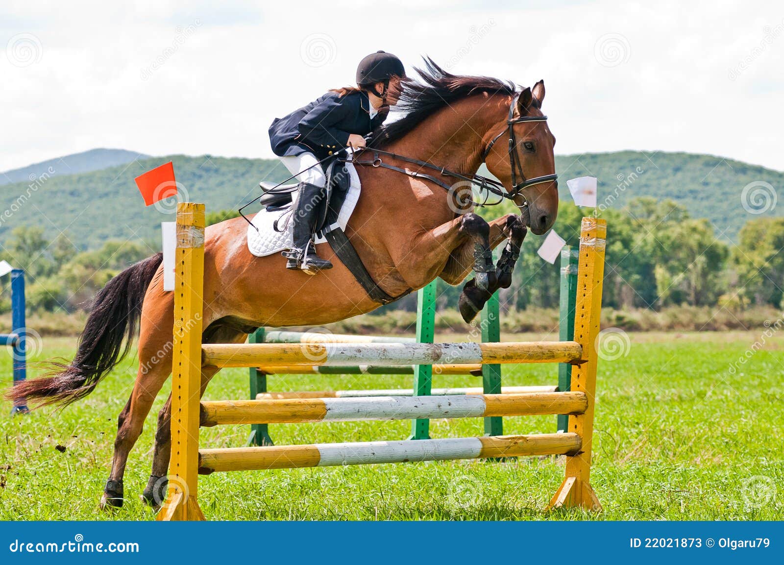 Rider show jumps editorial stock photo. Image of fast - 22021873