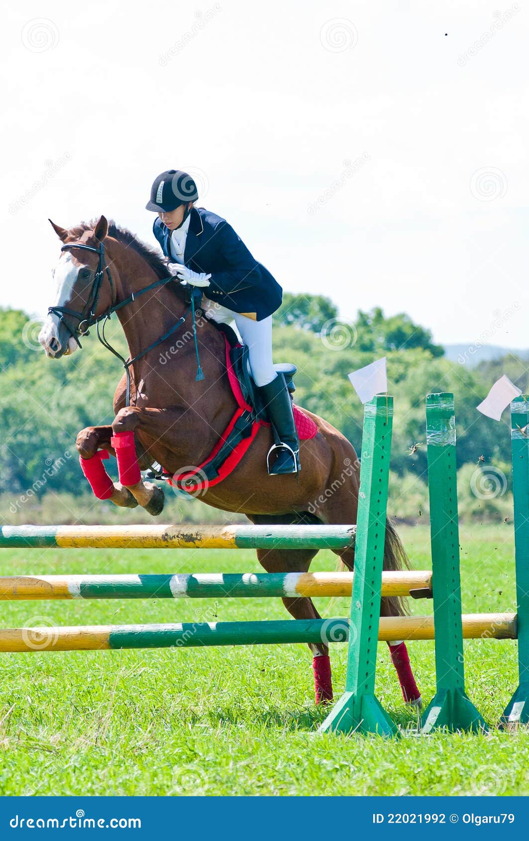 Rider show jumps editorial photography. Image of brown - 22021992