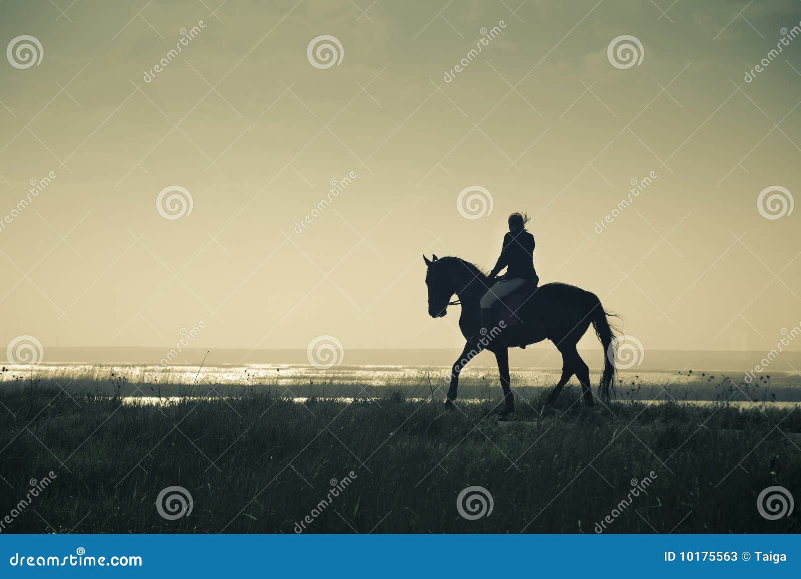 A Rider Silhouette on Horseback / Retro Style Stock Image - Image of ...