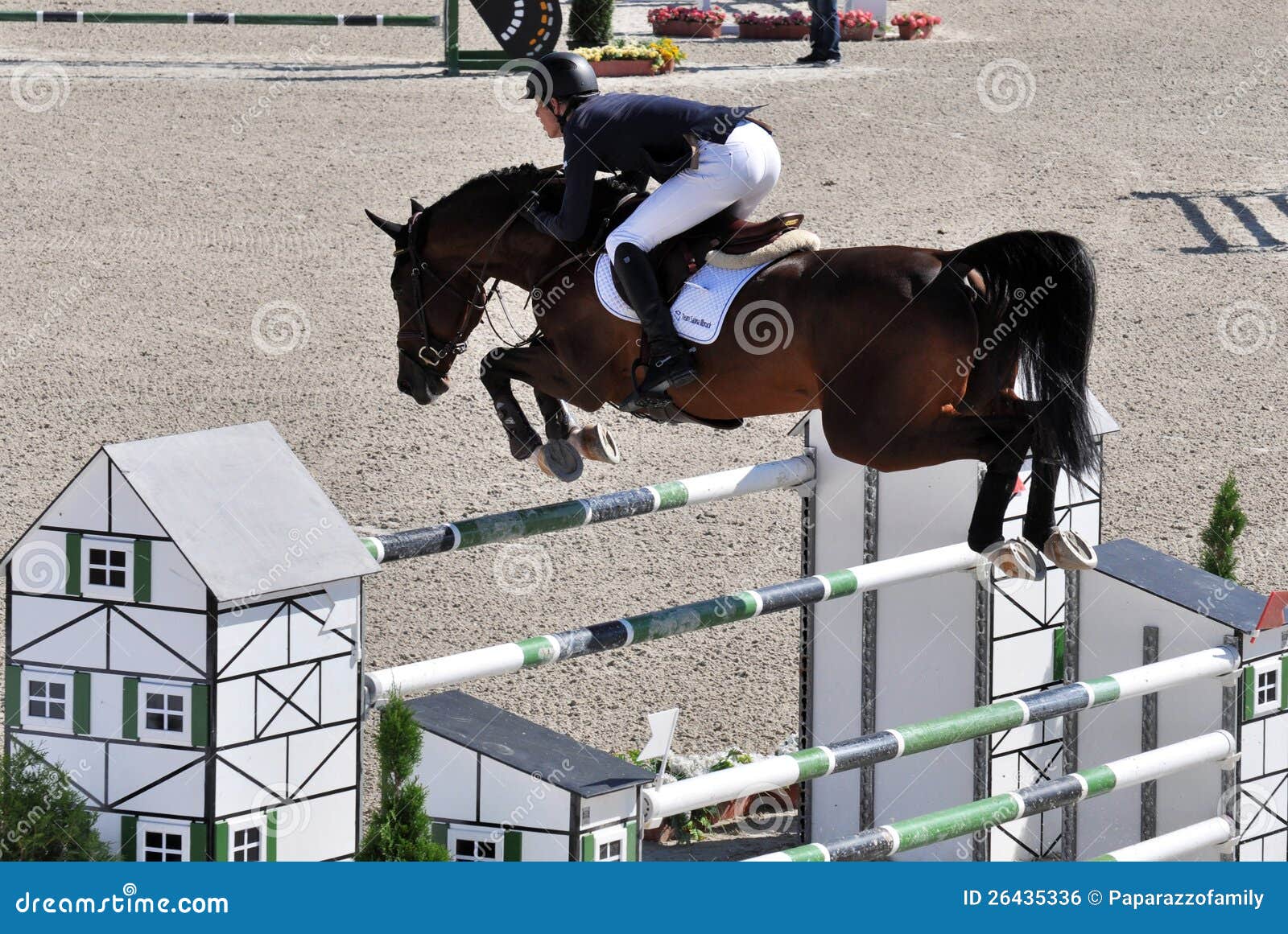 Rider triple jumps fence editorial photo. Image of adult - 26435336