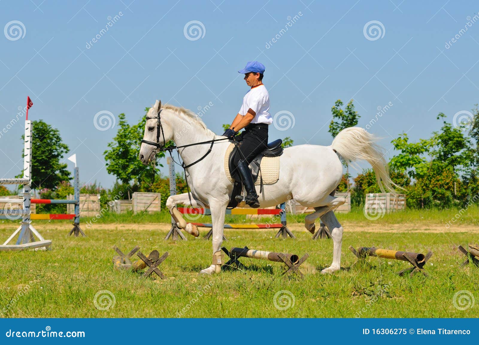 Rider on White Arabian Horse Stock Image - Image of mare, outdoor: 16306275