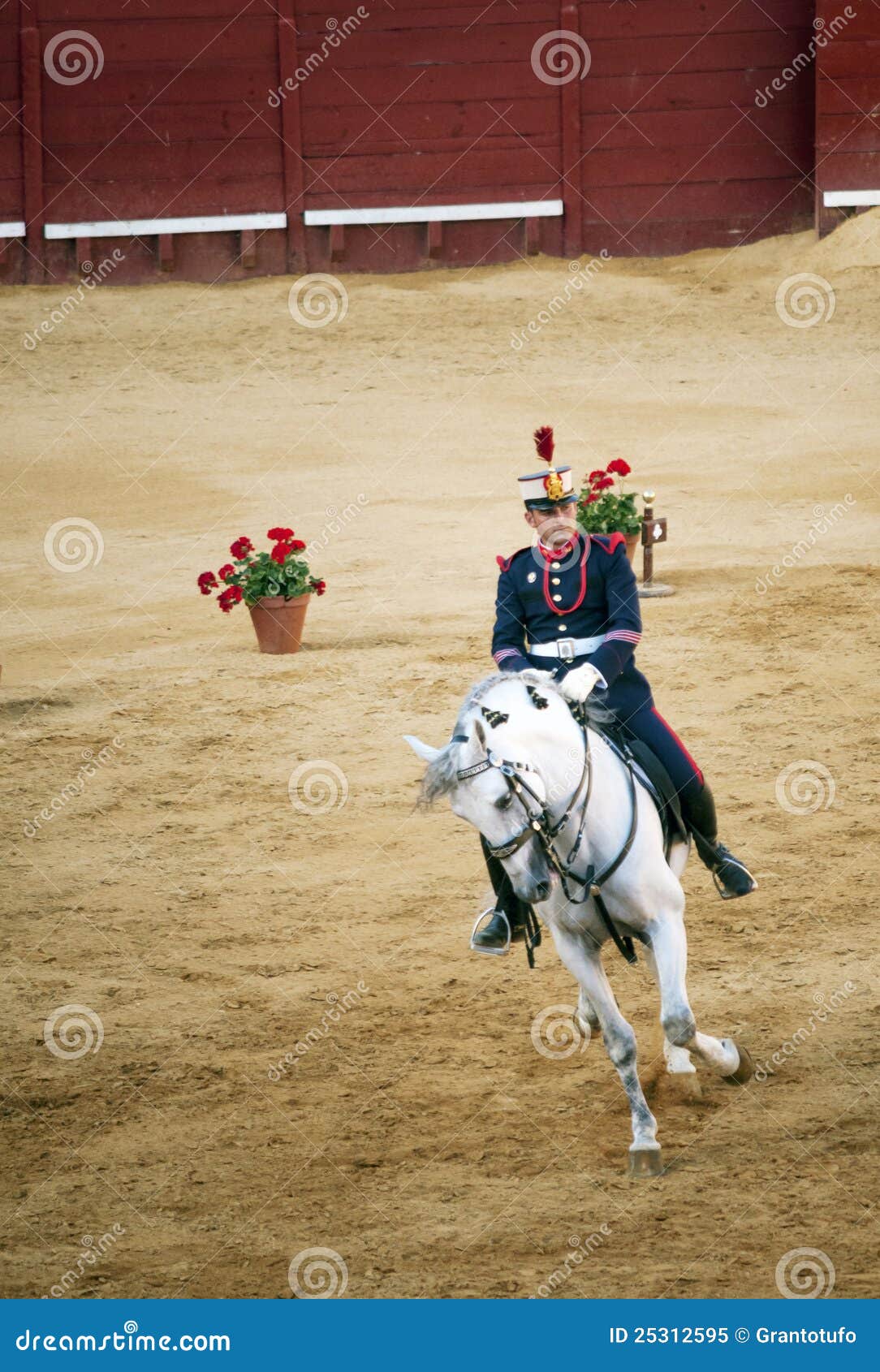 Rider on a white horse editorial image. Image of editorial - 25312595