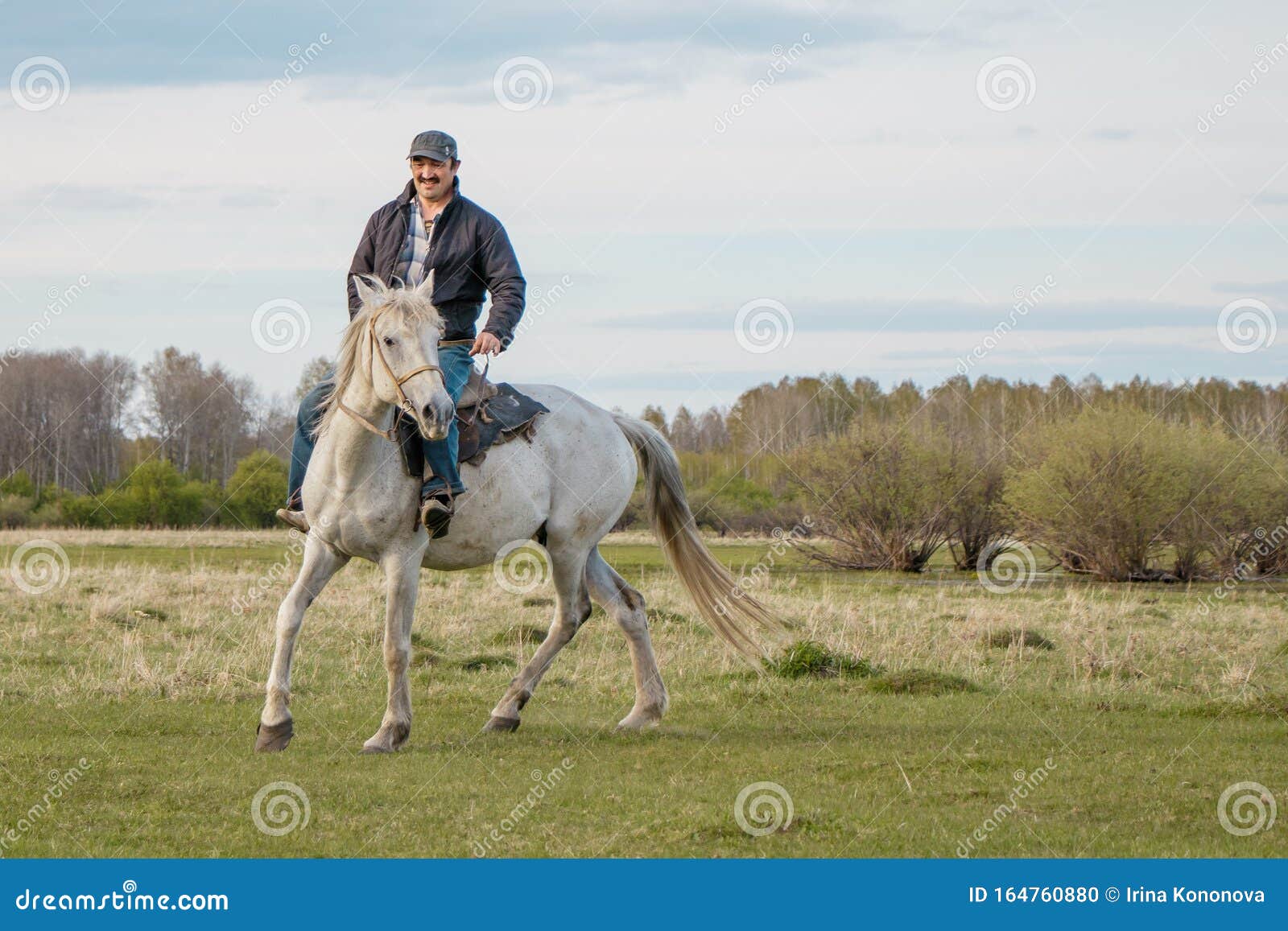 Rider on White Horse Rides through Pasture Stock Photo - Image of ...