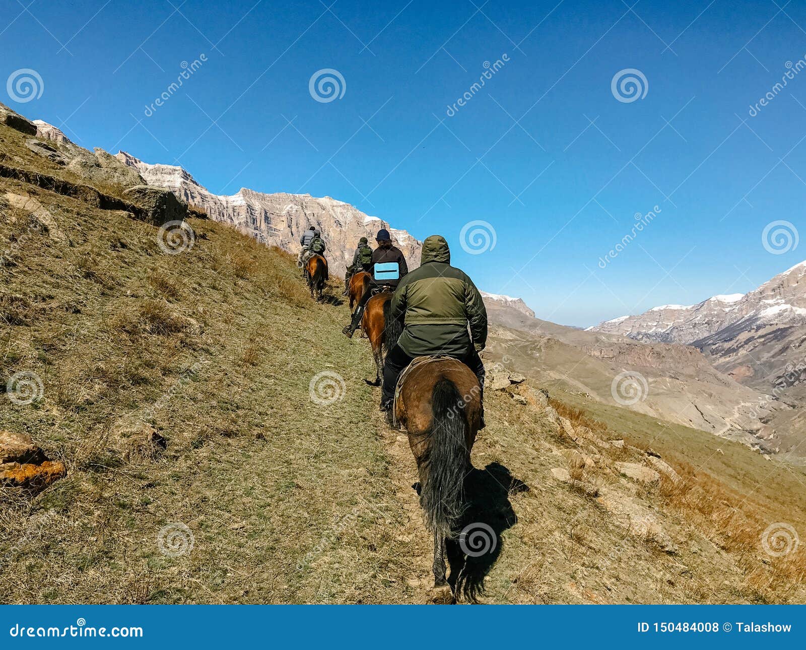 Riders on Horseback Ride in the Mountains during the Daytime Rear View ...