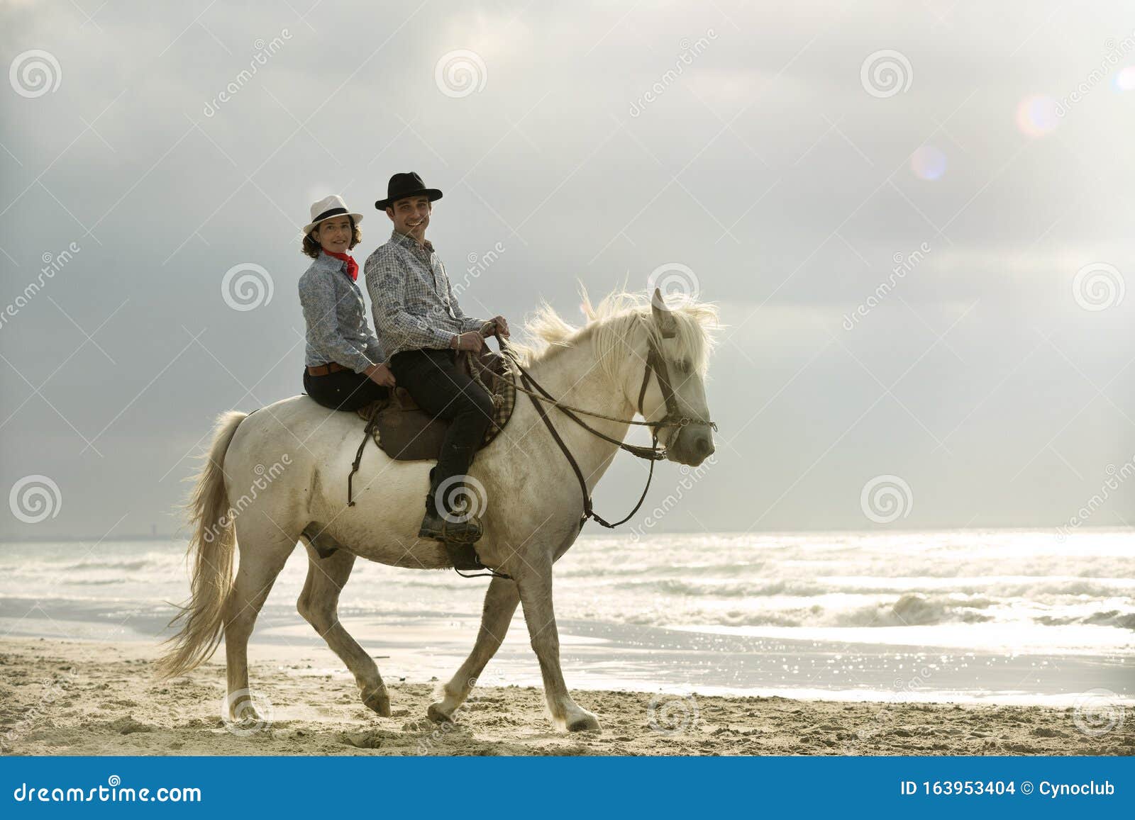 Riders and horses stock photo. Image of sport, walking - 163953404