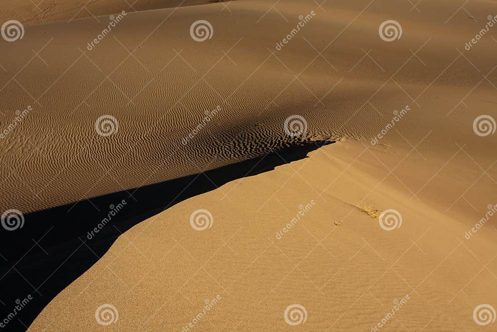 Ridge along Sand Dunes stock photo. Image of horizontal - 16326300
