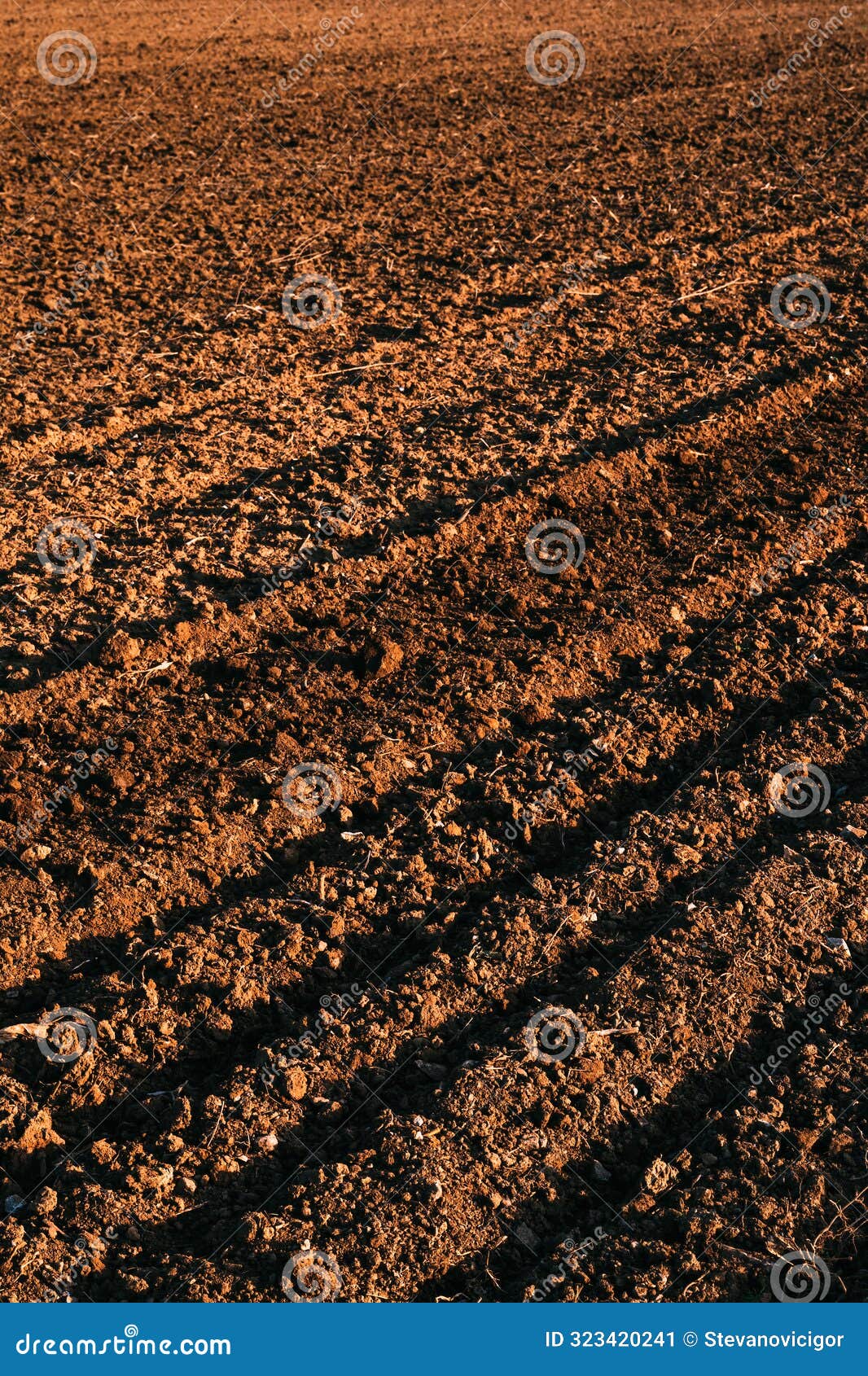 Ridge and Furrow Pattern in Ploughed Soil Stock Image - Image of nature ...