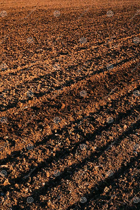 Ridge and Furrow Pattern in Ploughed Soil Stock Image - Image of nature ...