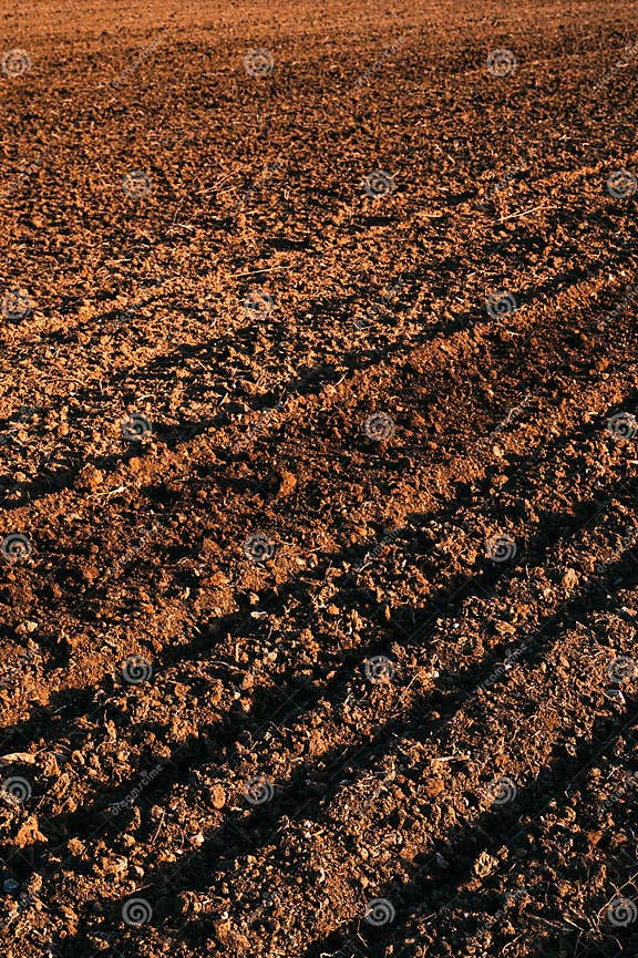 Ridge and Furrow Pattern in Ploughed Soil Stock Image - Image of nature ...