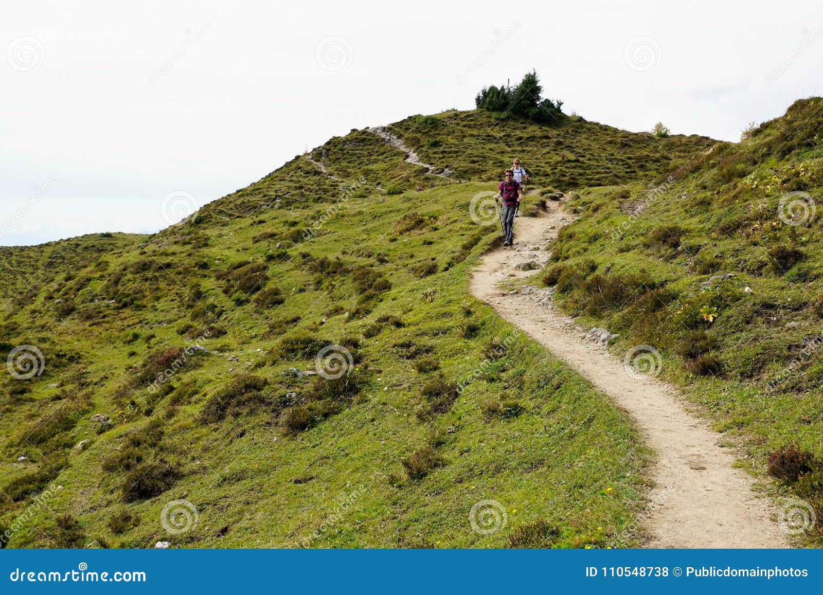 Ridge, Hill, Path, Vegetation Picture. Image: 110548738