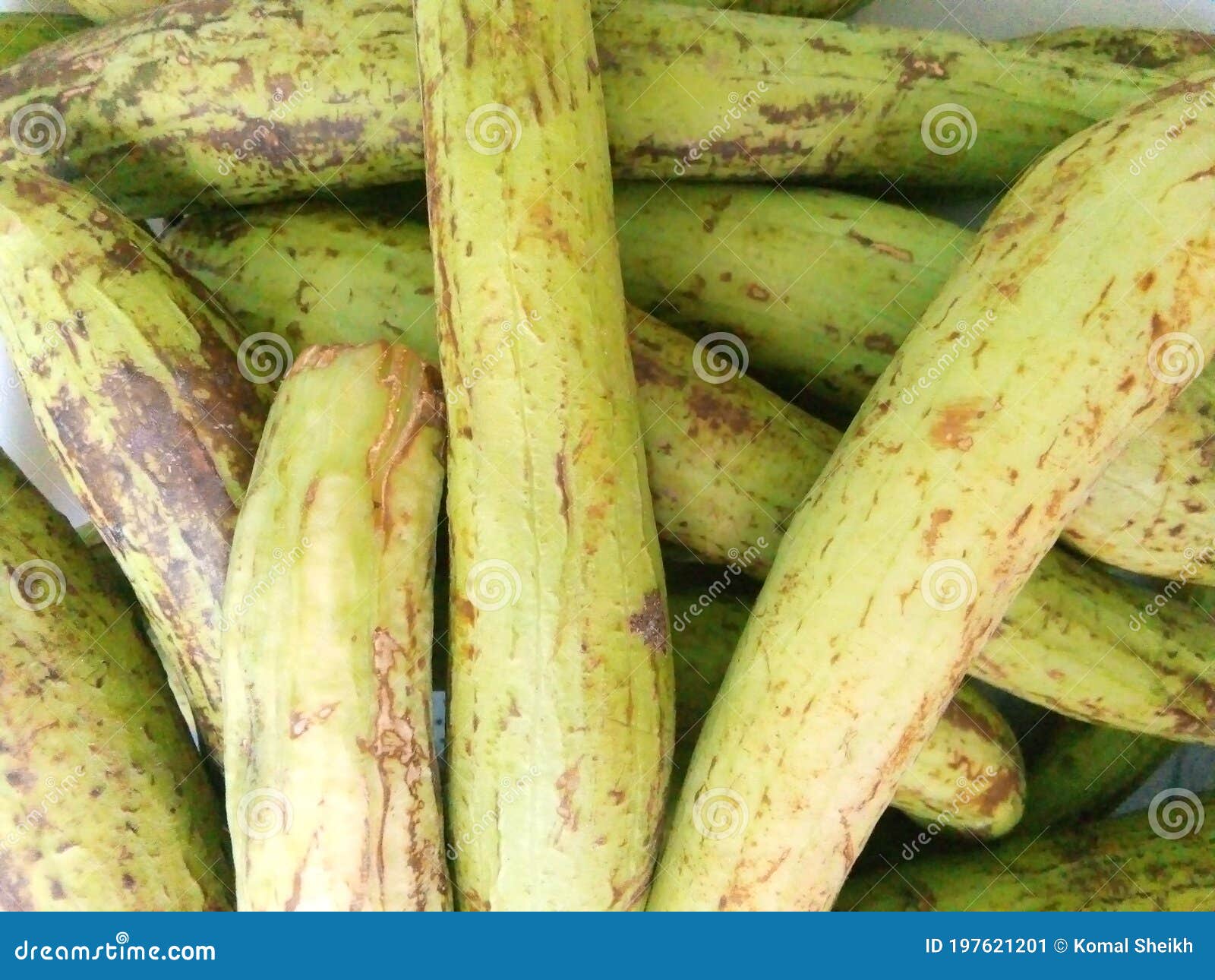 Ridged Gourd Vegetable Close Up Stock Image - Image of vegetable, green ...