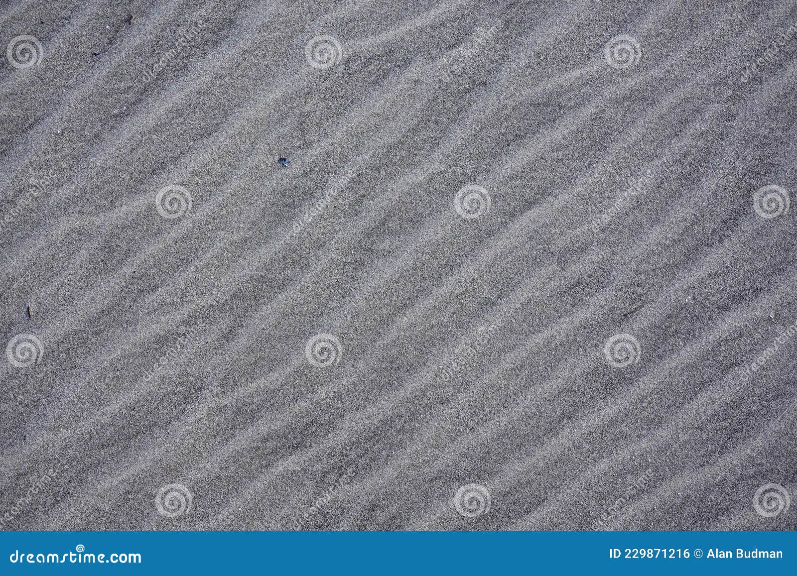Ridges in Wind Blown Beach Sand Stock Photo - Image of nature, arid ...
