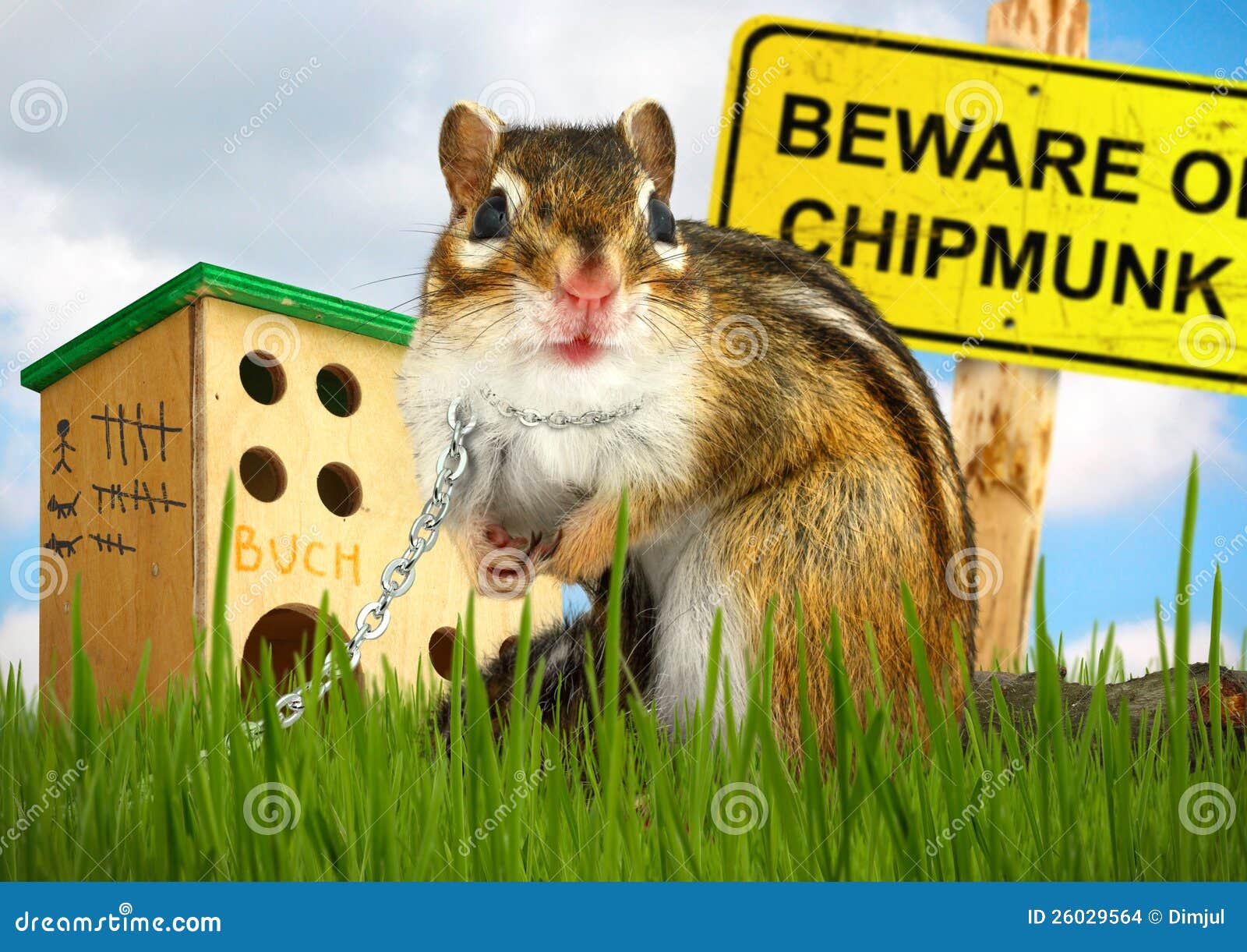 Ridiculous Malicious Chipmunk Stock Photo - Image of angry ...