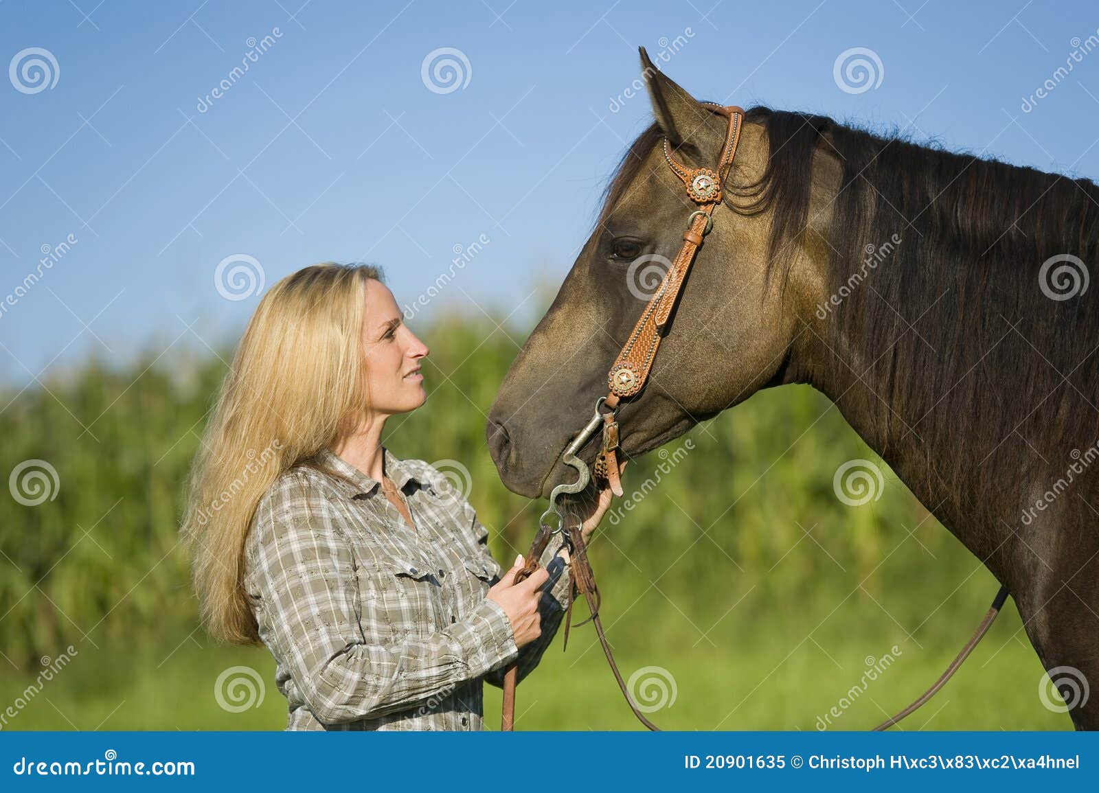 Riding stock image. Image of training, sport, cowgirl - 20901635