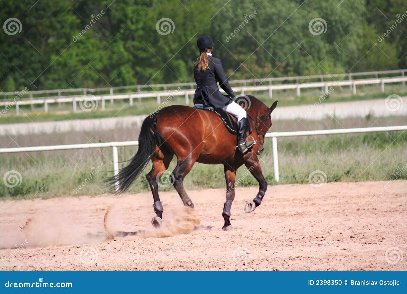 Riding stock photo. Image of racehorses, running, cover - 2398350