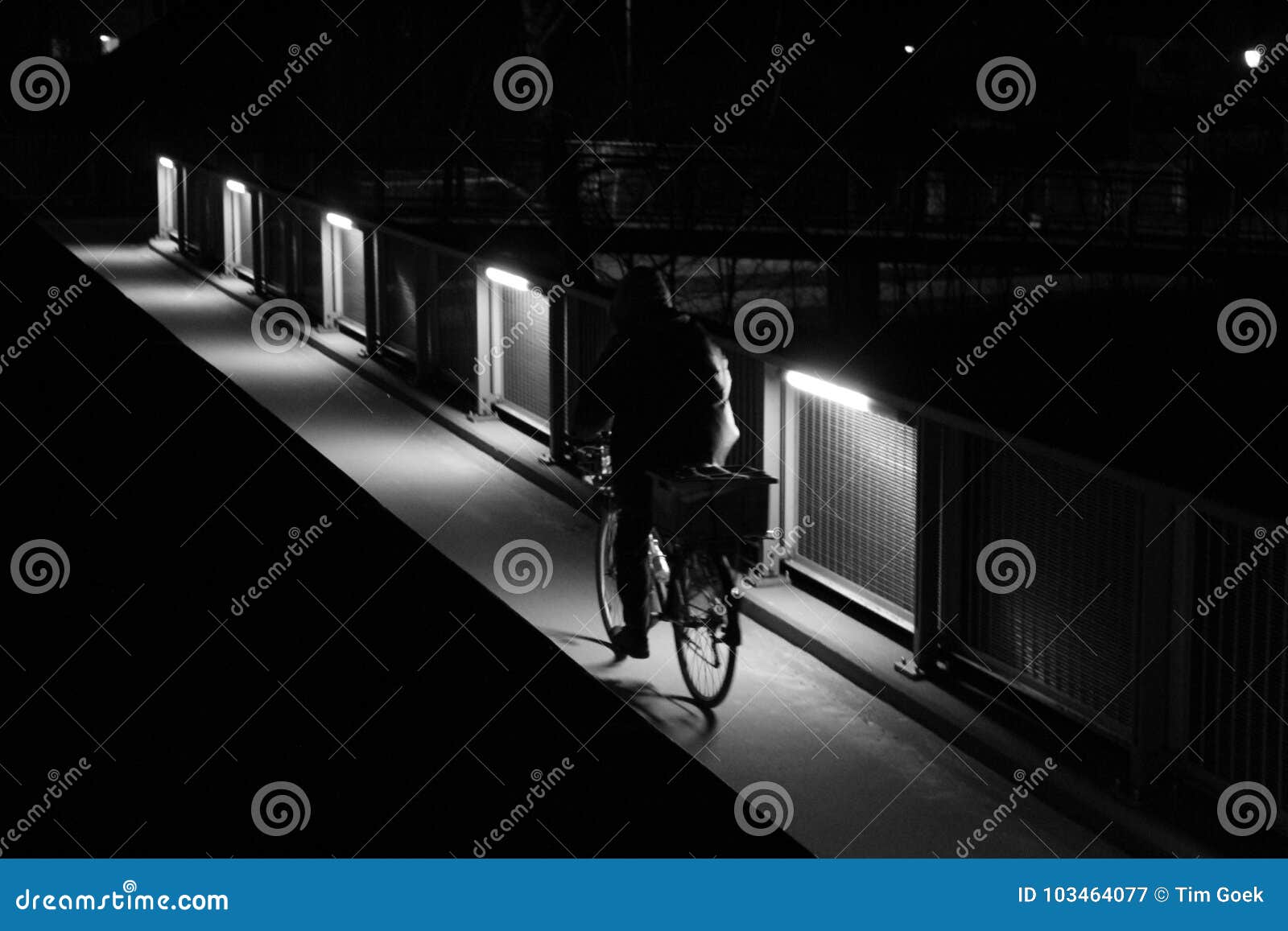 Riding alone stock image. Image of alone, riding, bike - 103464077