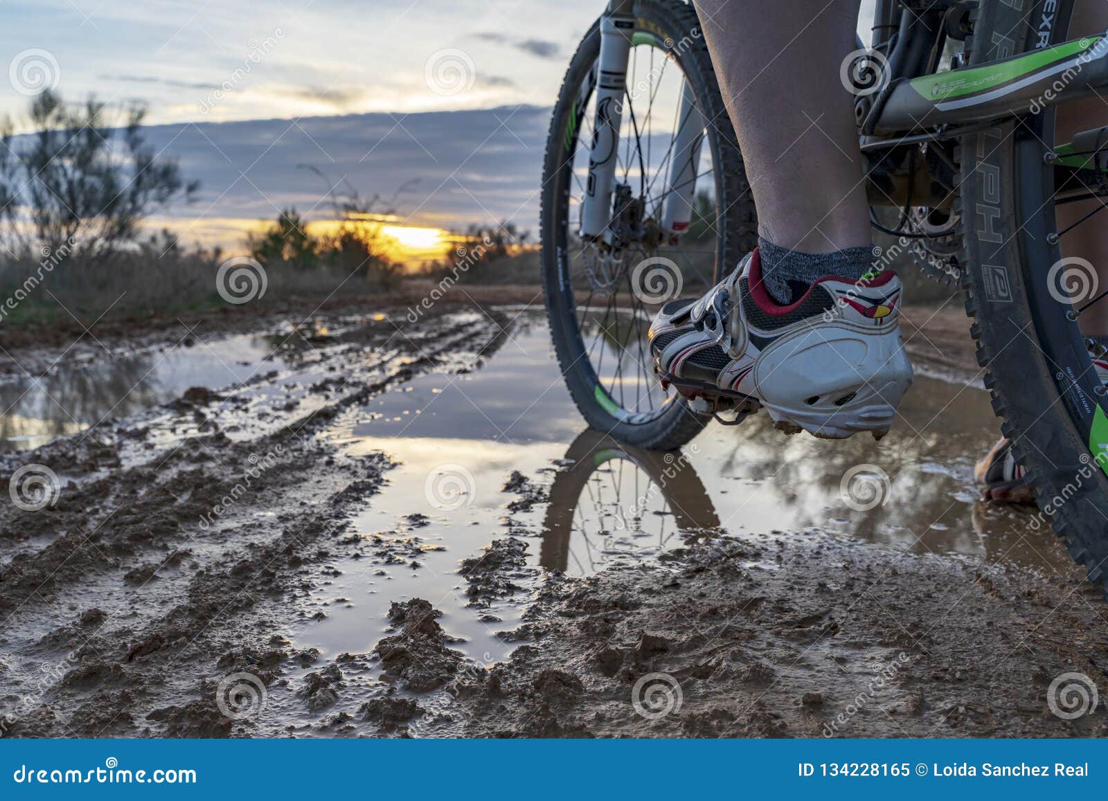 Riding a Bicycle through the Countryside. Editorial Image - Image of ...