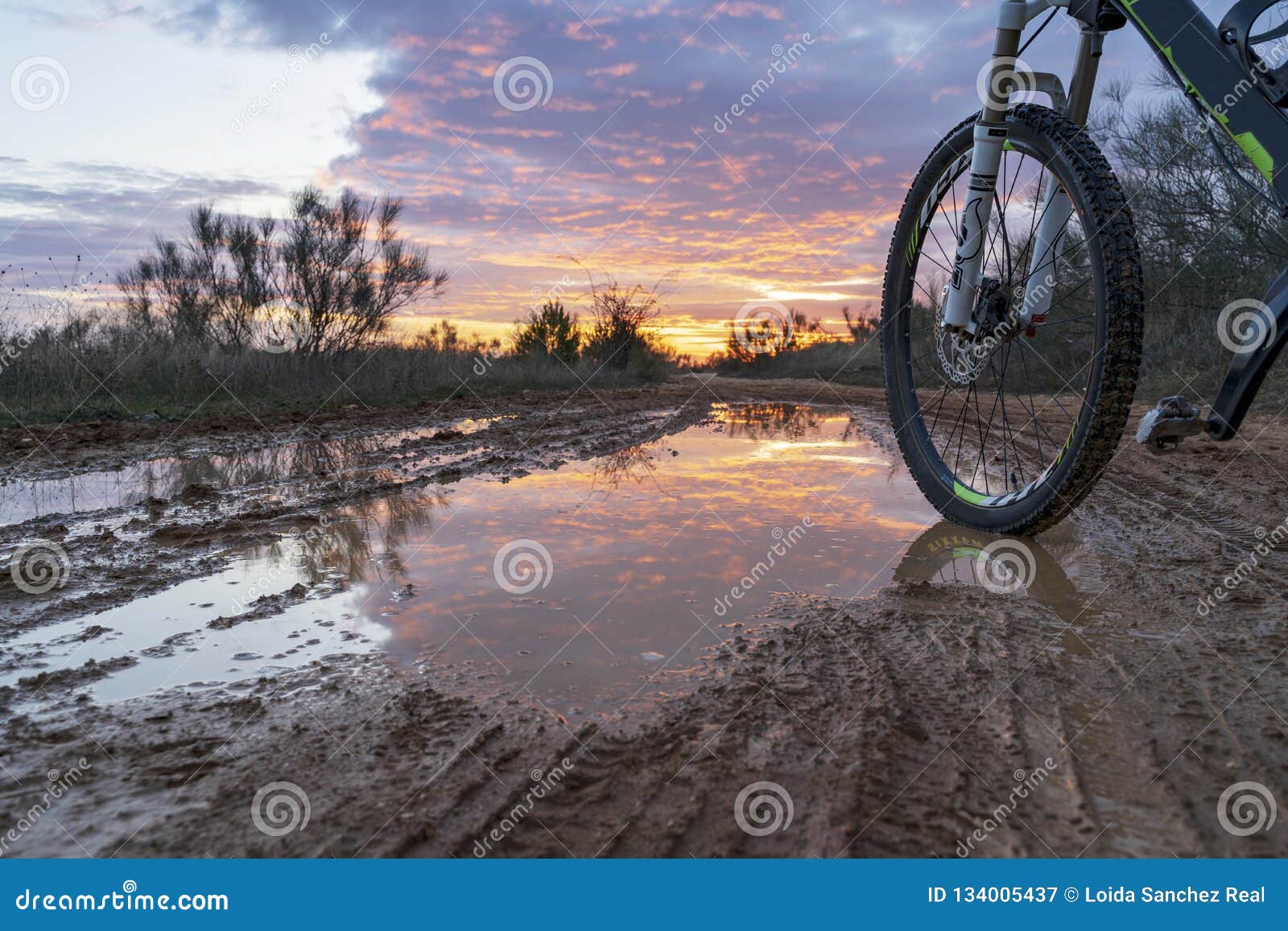 Riding a Bicycle through the Countryside, with a Wheel of a Bicycle in ...