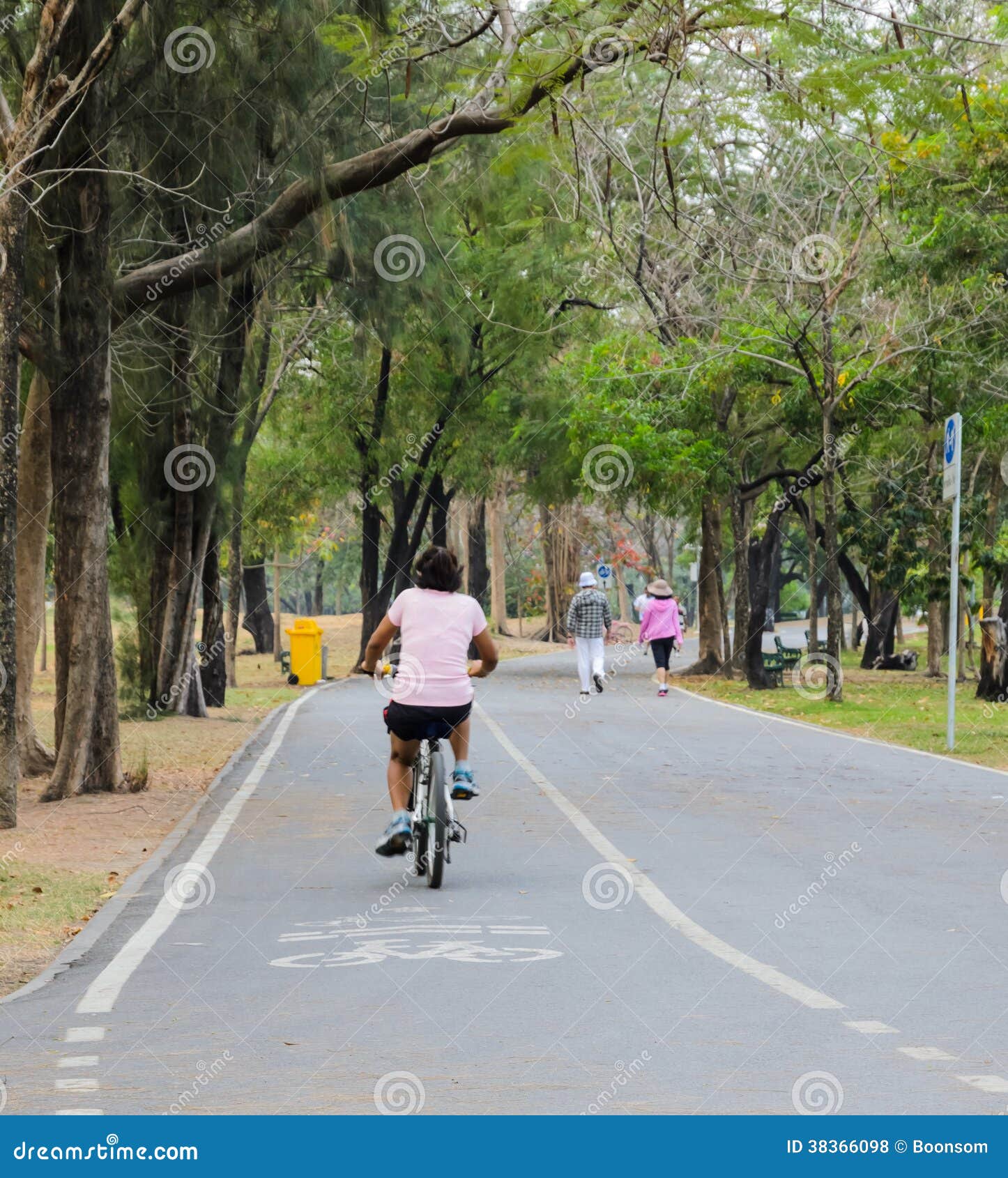 Riding bicycle in the park editorial stock photo. Image of line - 38366098