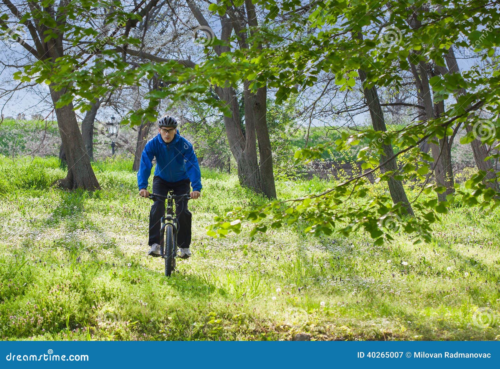 Riding bicycle stock image. Image of park, cyclist, rider - 40265007