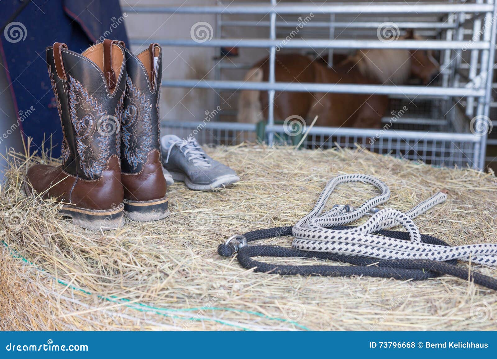 Riding boots in stables stock photo. Image of west, riding - 73796668