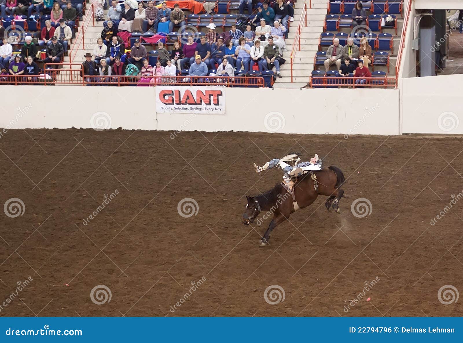 Riding a Bucking Horse editorial photo. Image of wild - 22794796