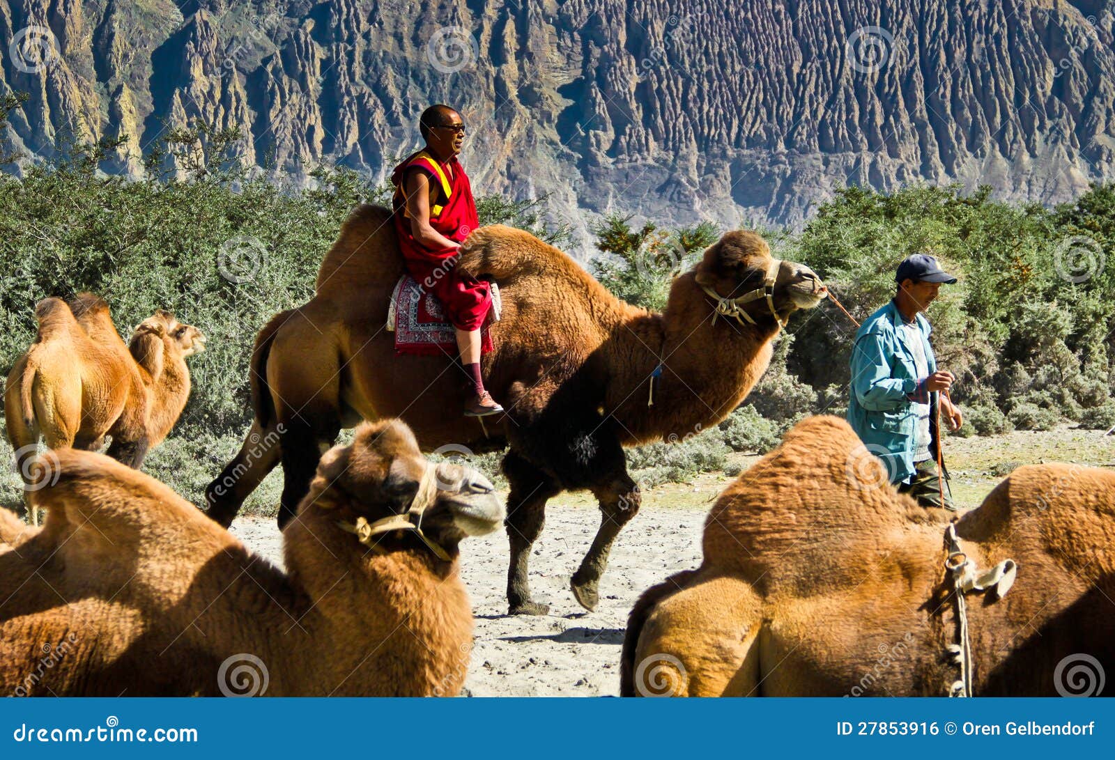 Riding Camel editorial photo. Image of decorated, camel - 27853916