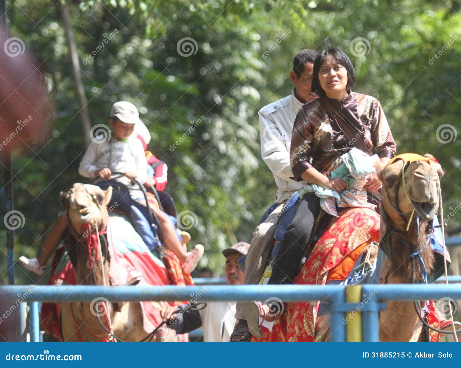 Riding camel editorial image. Image of arab, animal, solo - 31885215