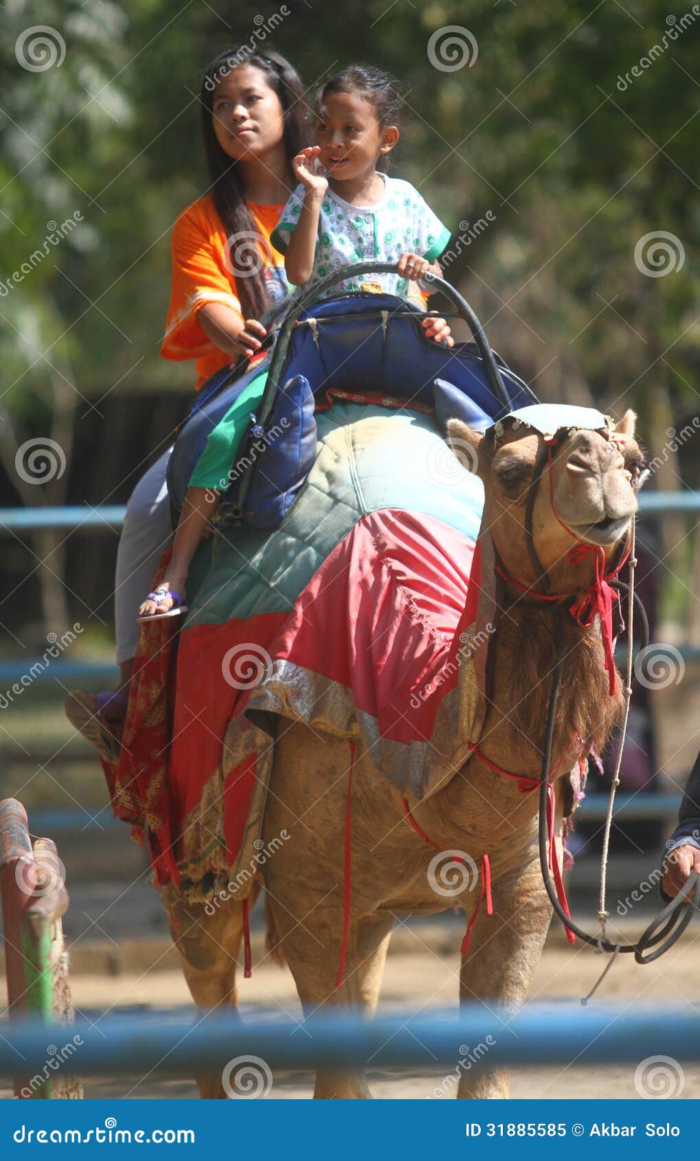 Riding camel editorial image. Image of desert, walking - 31885585
