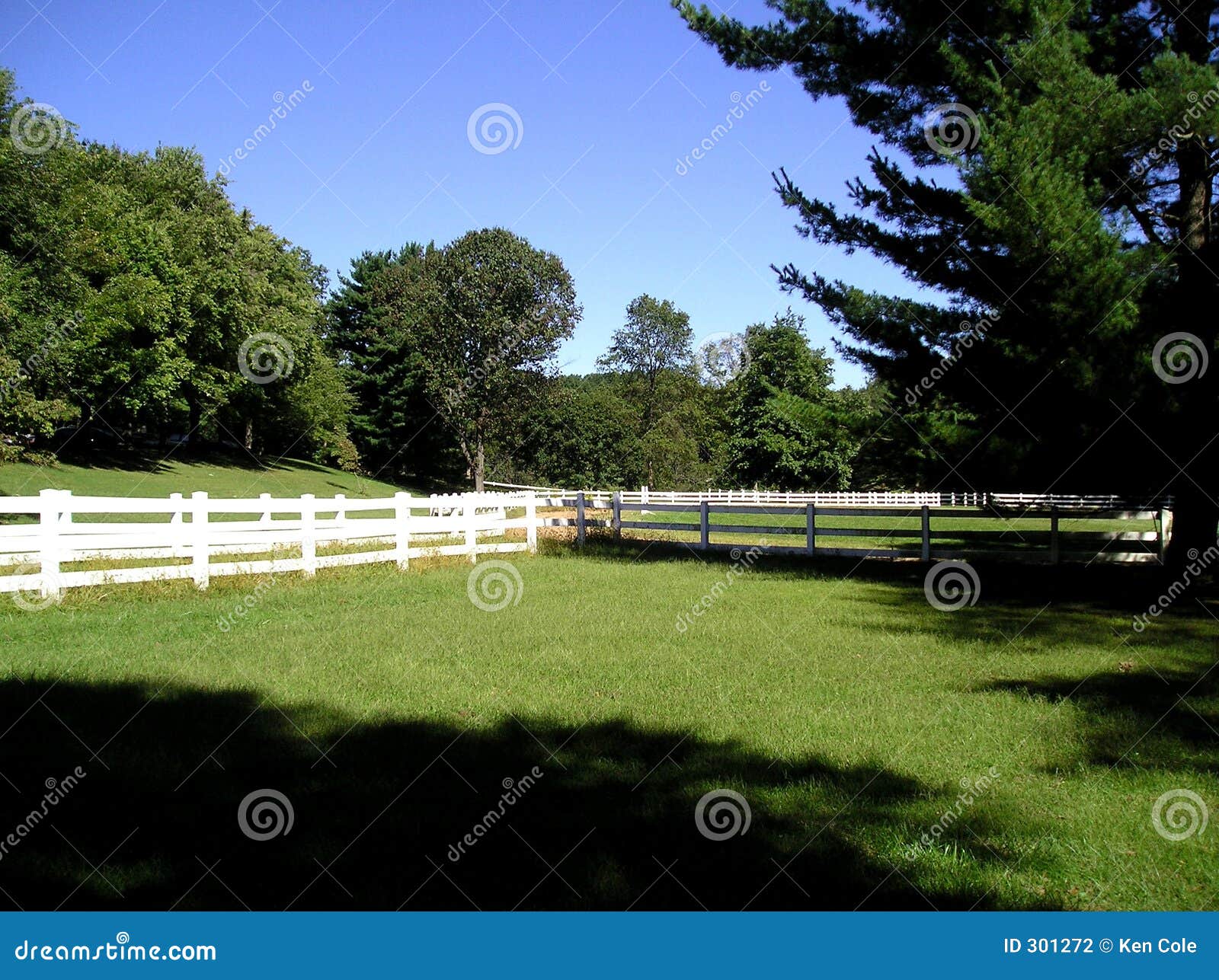 Riding Corral stock photo. Image of countryside, bright - 301272