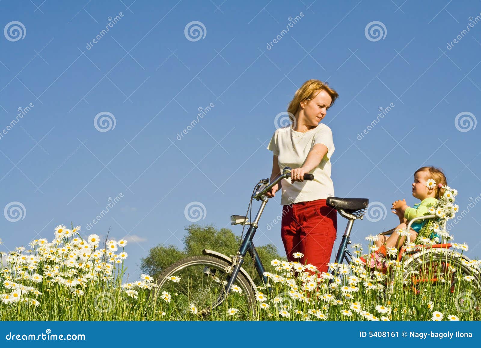Riding through the Daisy Field Stock Image - Image of care, enjoy: 5408161
