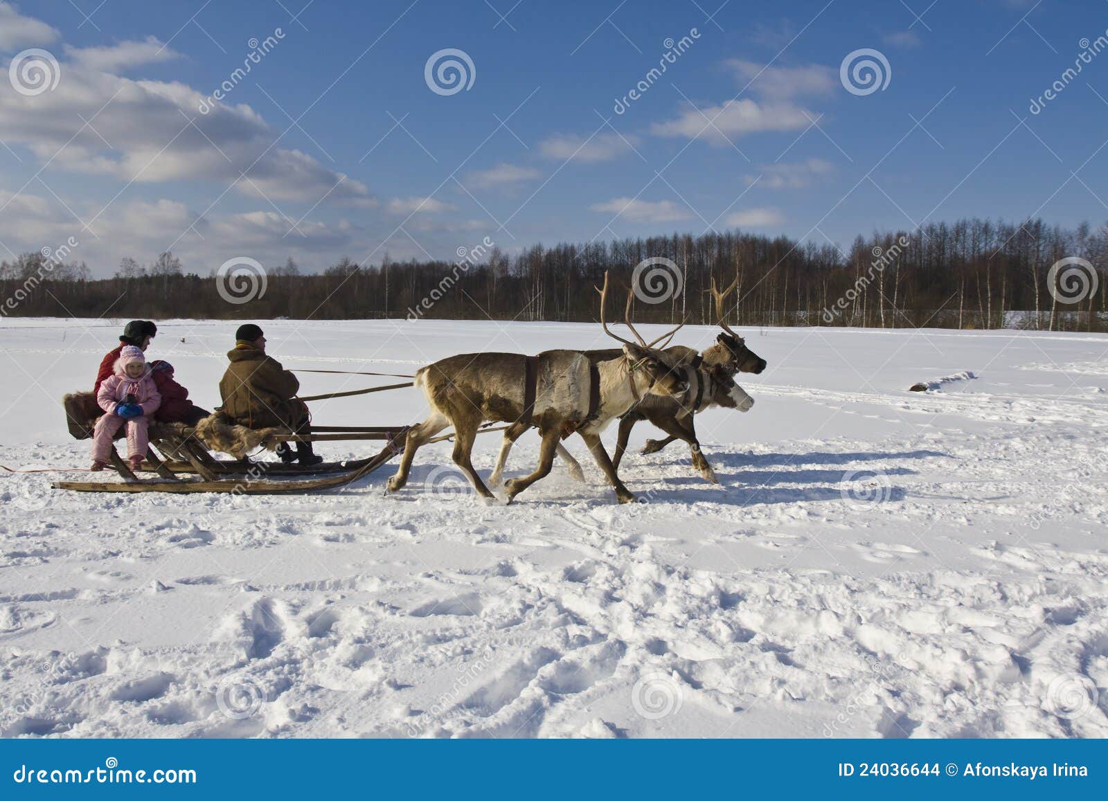Riding in deer s carriage editorial stock image. Image of nature - 24036644