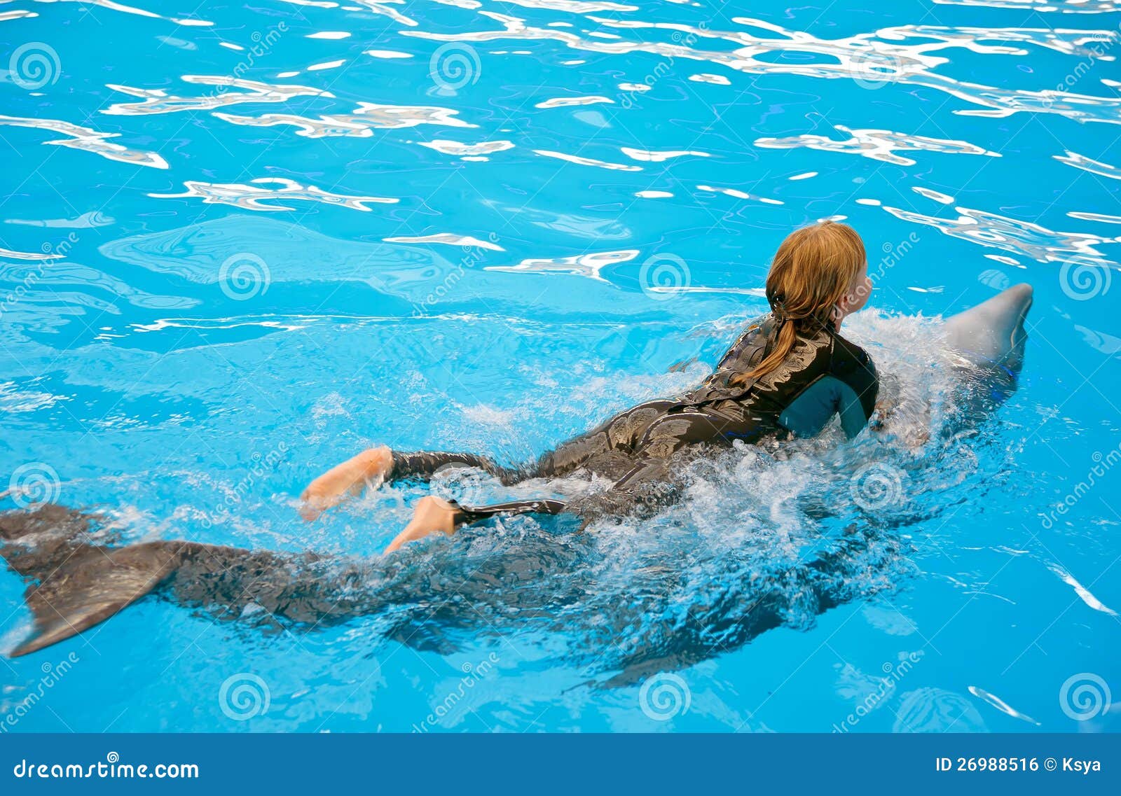 Riding on a dolphin belly stock photo. Image of dolphinarium - 26988516